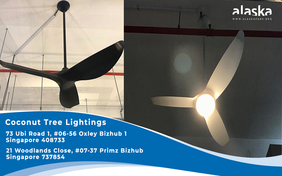 Alaska Ceiling Fan Singapore | Widest Variety of Decorative Ceiling Fans