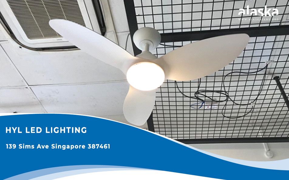 Alaska Ceiling Fan Singapore | Widest Variety of Decorative Ceiling Fans