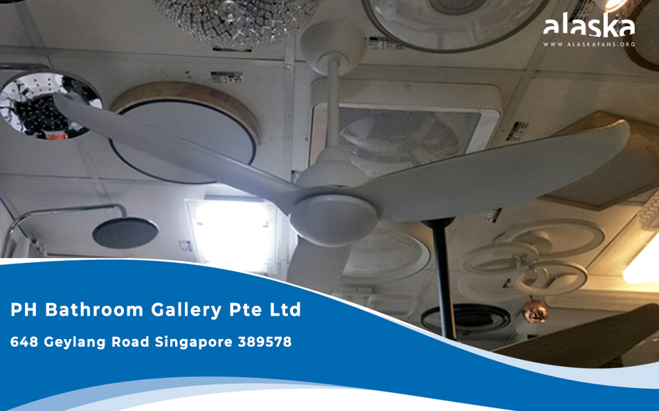 Alaska Ceiling Fan Singapore | Widest Variety of Decorative Ceiling Fans