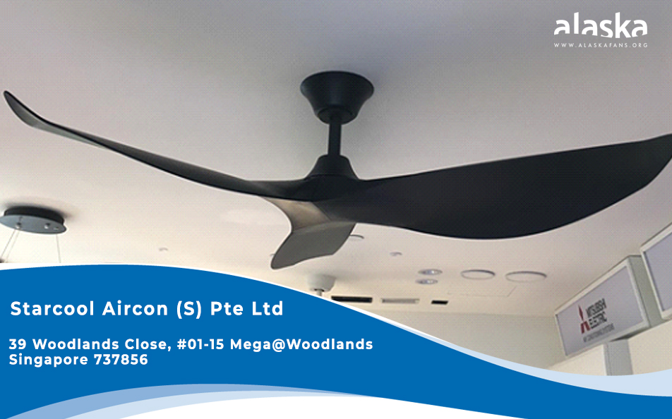 Alaska Ceiling Fan Singapore | Widest Variety of Decorative Ceiling Fans